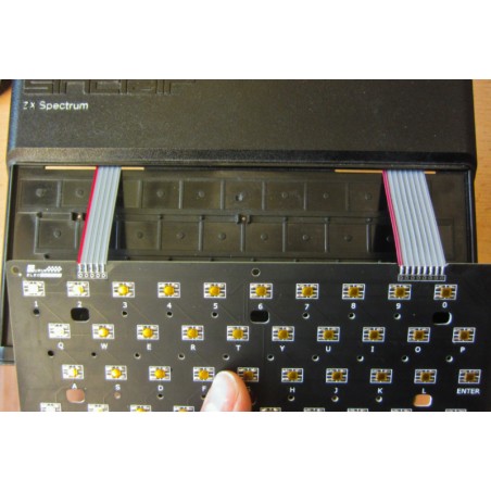 48K-KDLX keyboard for Sinclair ZX Spectrum 16k/48k Model 48K-KDLXR ...